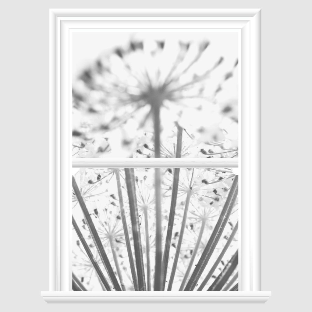 Stained Glass Window Film - PD7 - Abode Window Films